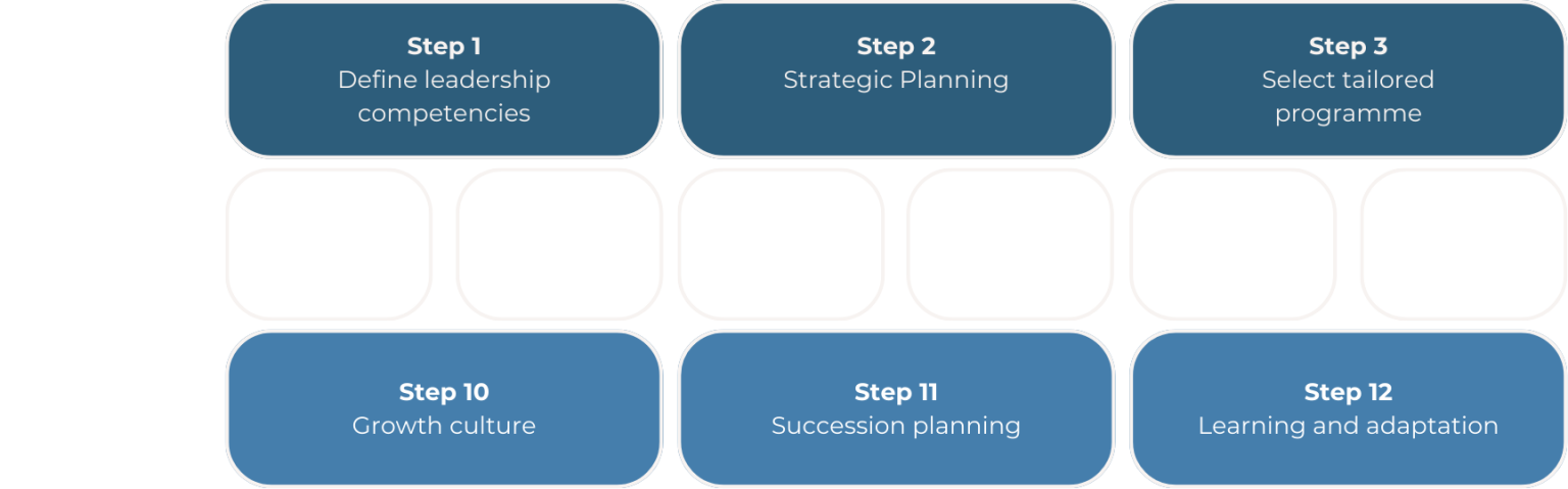 Developing Leaders: How to Develop Leaders in 12 Steps - Willow & Puddifoot